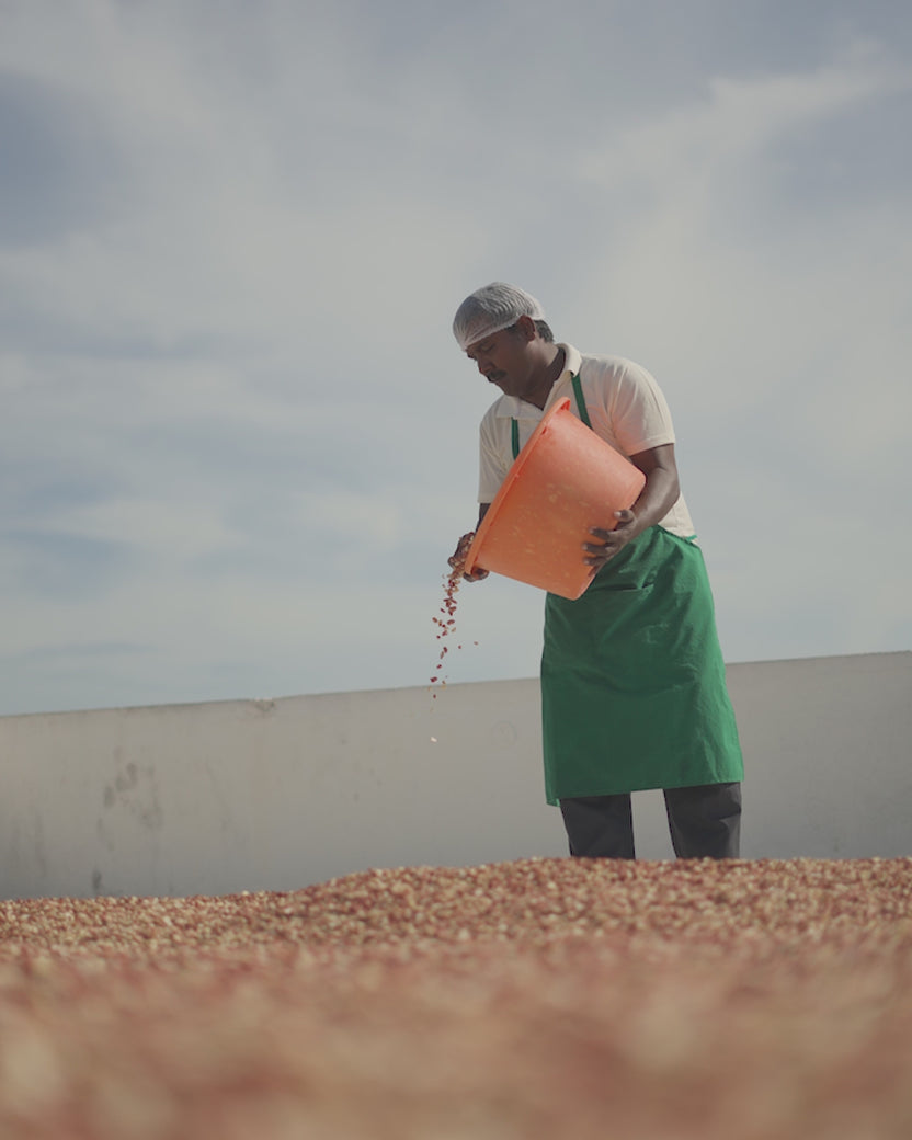 Mustard Oil - 1L – Gramiyaa